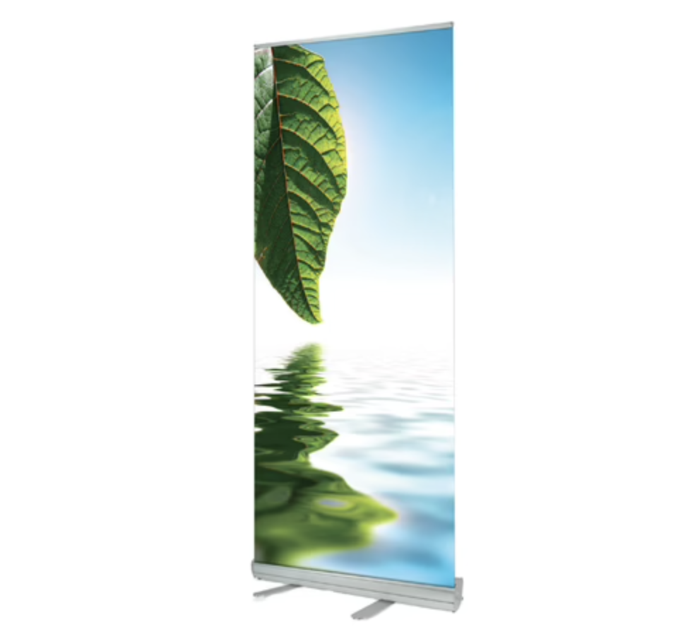 Silver Rollup Display System